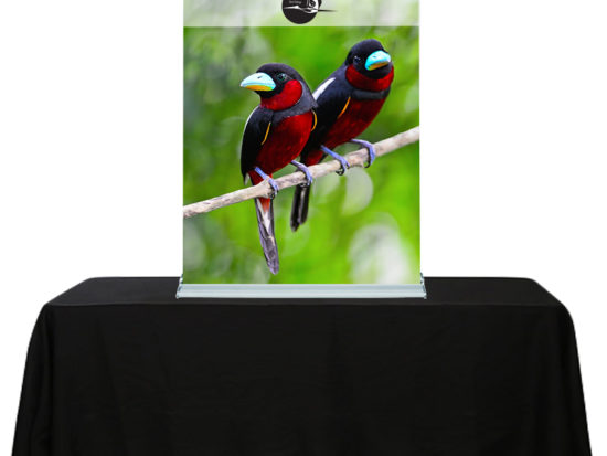 A Guide to Making the Most Out of Your Tabletop Displays - Convention ...